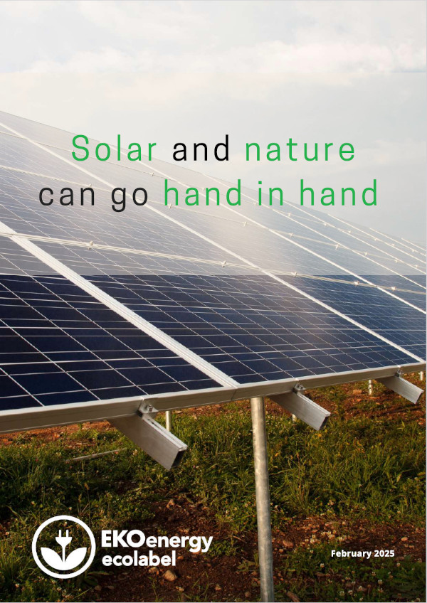 Exploring the many interactions between the energy transition and ...